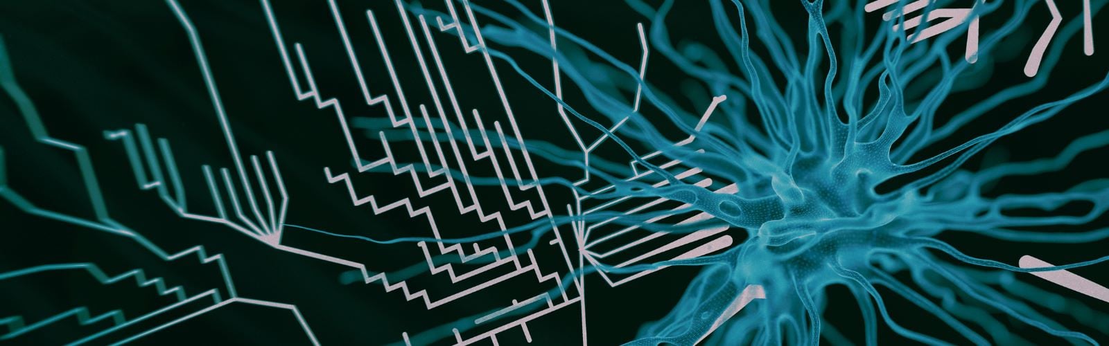 What is a RIMS? – Definition and Functionalities | EXTEDO